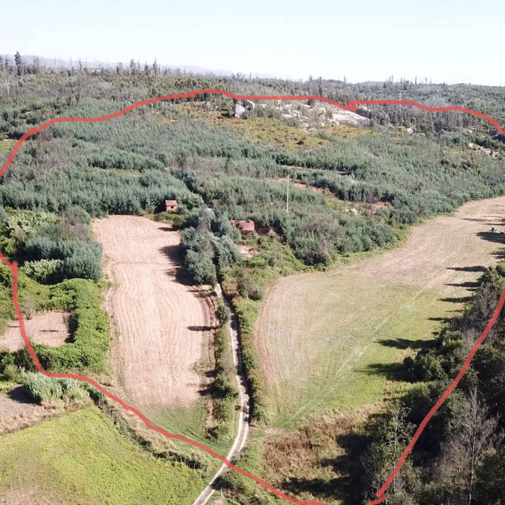 Showcase Friday - Project Kamp - Black Monster Media